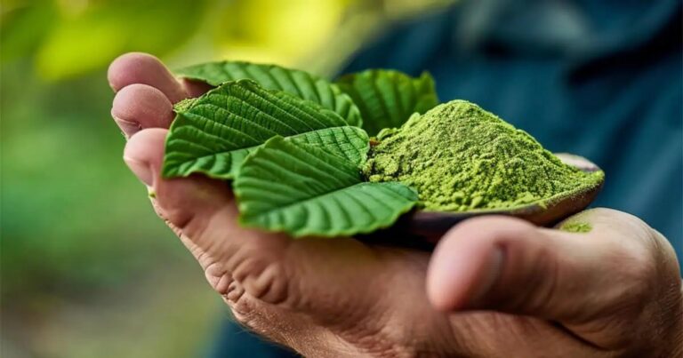 Demystifying Kratom: A Comprehensive Guide to Its Benefits, Risks, and ...